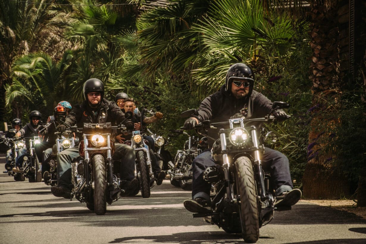 HARLEY-DAVIDSON: Euro Festival returns in 2025 | Motorcycle Sport & Leisure
